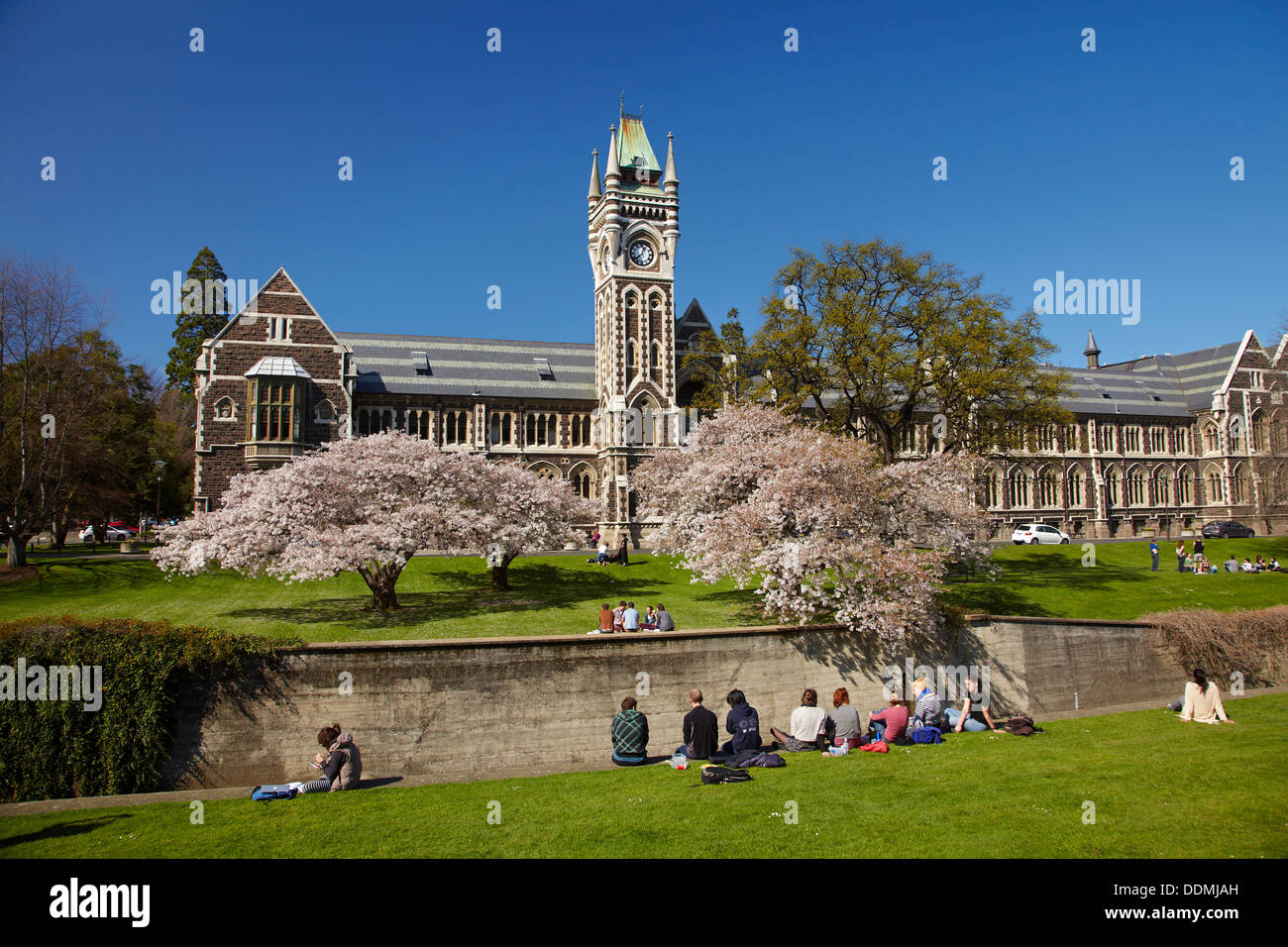 Clock Tower, historical Registry Building, spring blossom and students ...