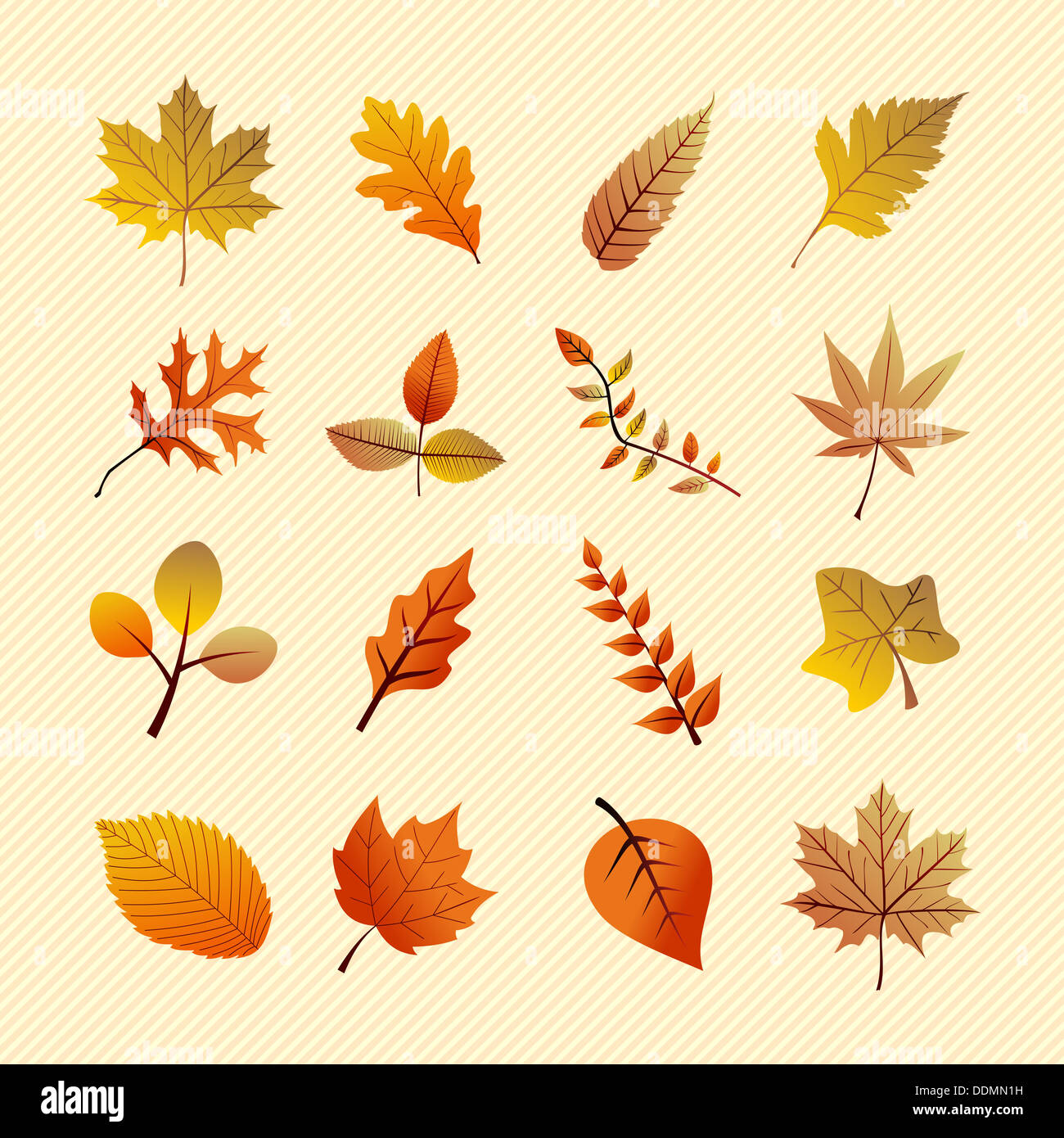Fall season variety of tree leaves nature elements set. EPS vector file ...