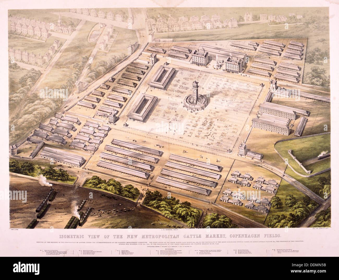 Metropolitan cattle market london 1855 hi-res stock photography and ...