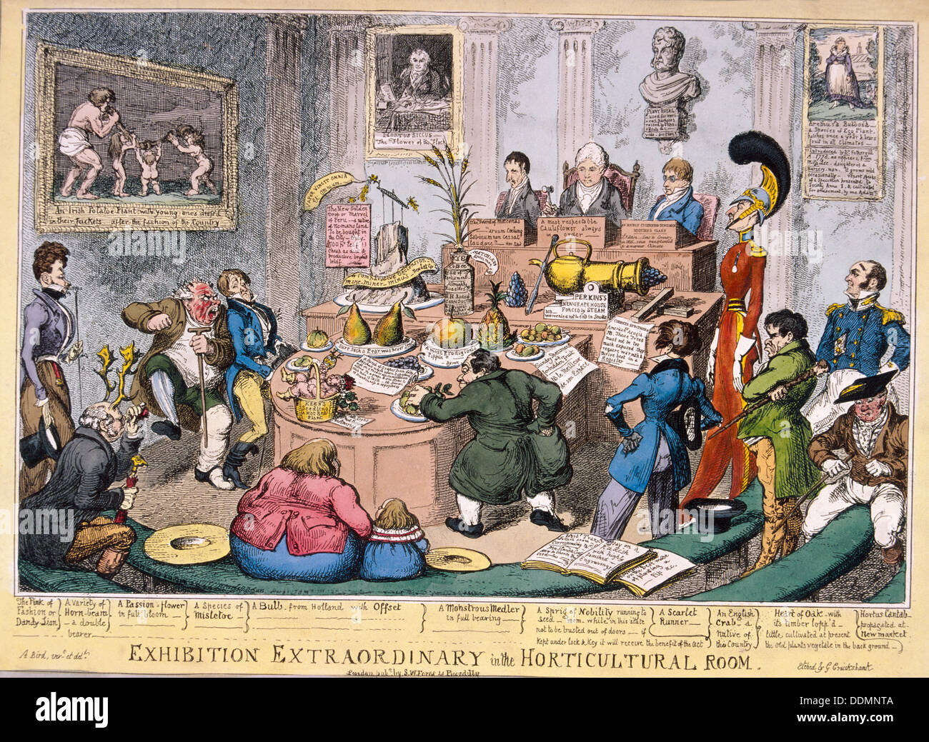 Exhibition at the Royal Horticultural Society, London, 1826. Artist ...