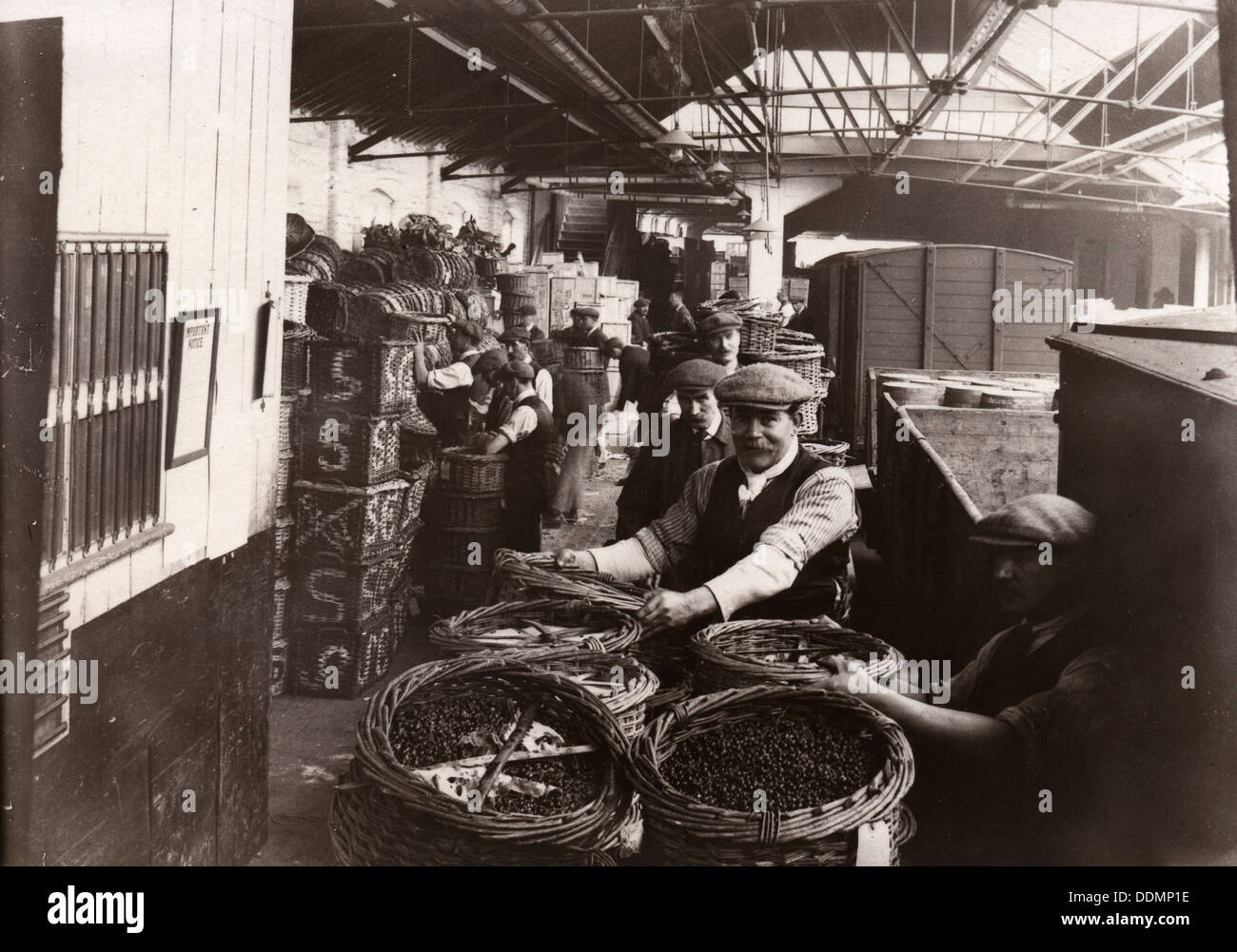 Men unloading baskets of blackcurrants from train, Rowntree factory ...