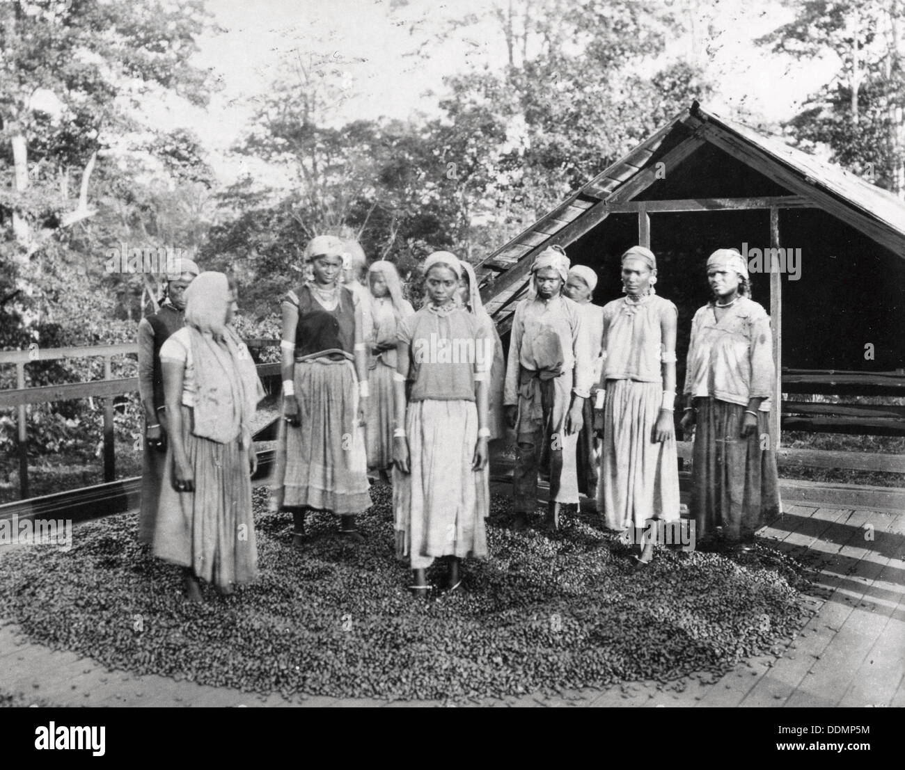 Workhouse women hi-res stock photography and images - Alamy
