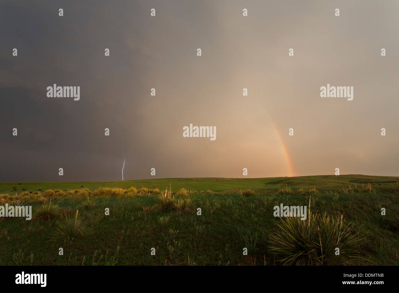 Chasing rainbow hi-res stock photography and images - Alamy