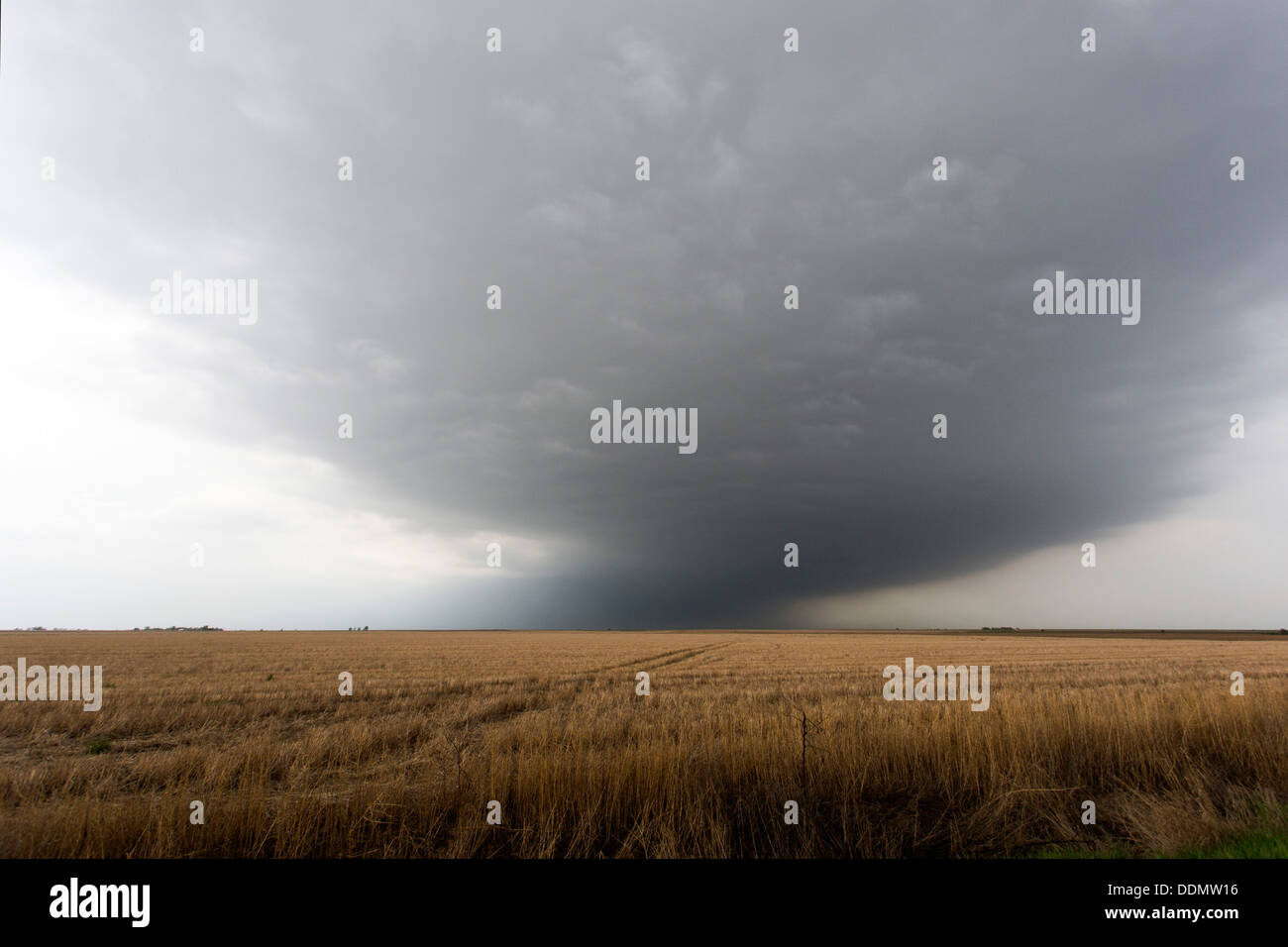 Storm chasing vehicle hi-res stock photography and images - Alamy