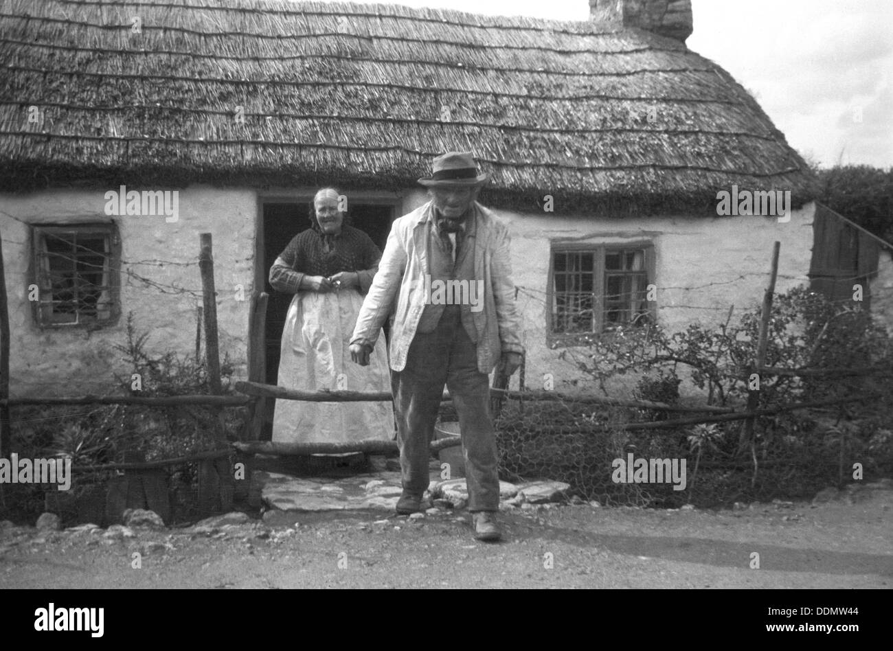 Harptree hi-res stock photography and images - Alamy