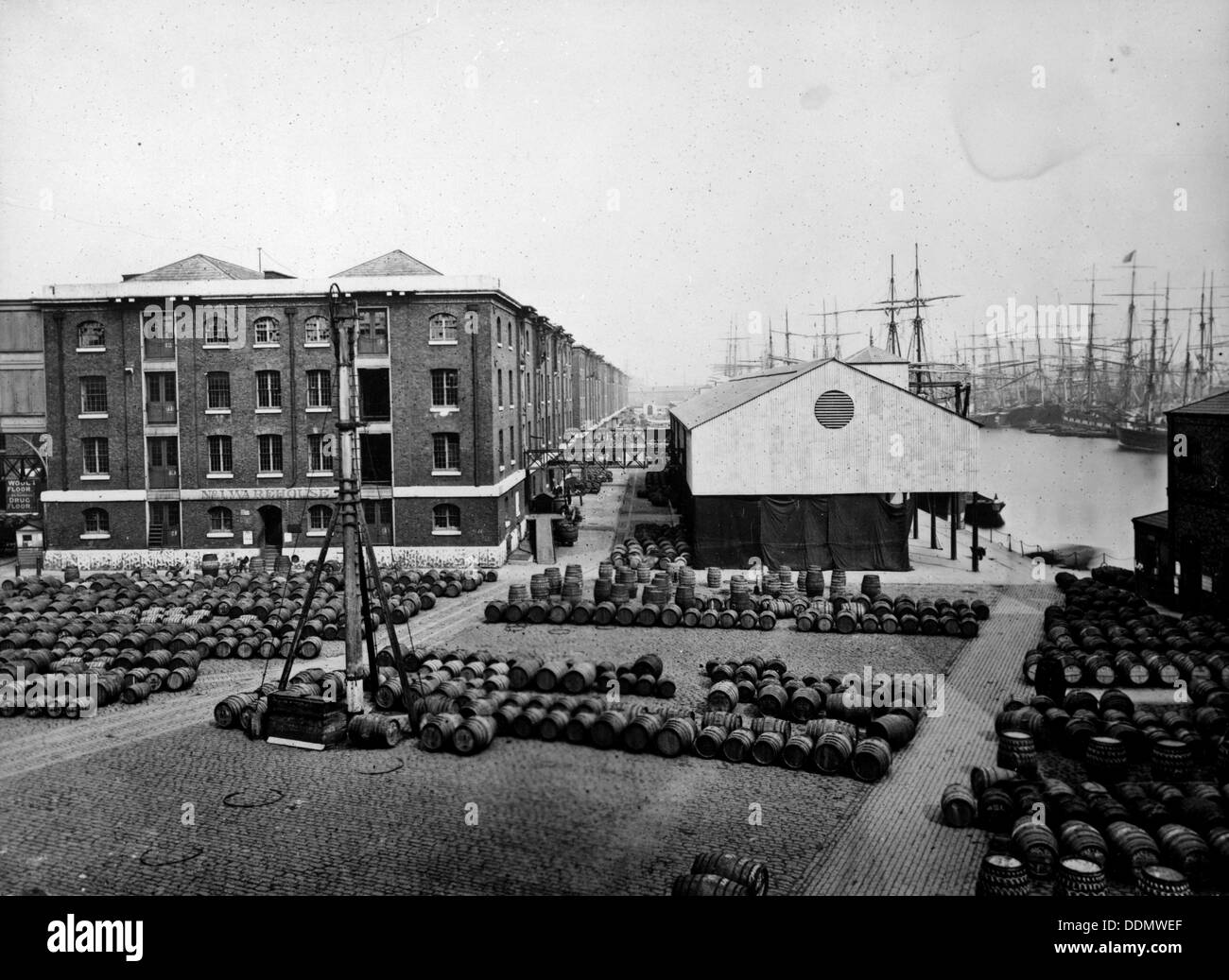 Unassuming Docks Borderlands Wiki Walkthroughs