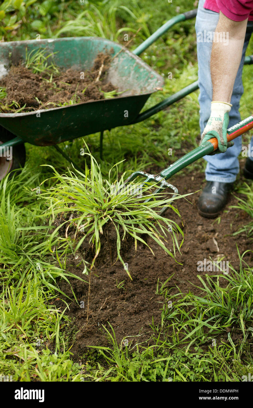 A gardener working earth to make ready for a vegetable garden Stock ...