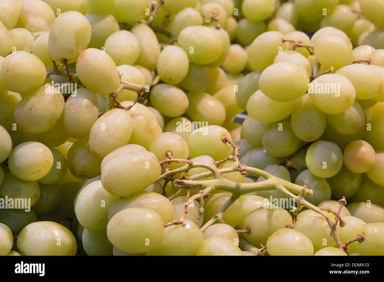 Seedless Green Grapes Bunches at Farmers Market Closeup Stock Photo - Alamy