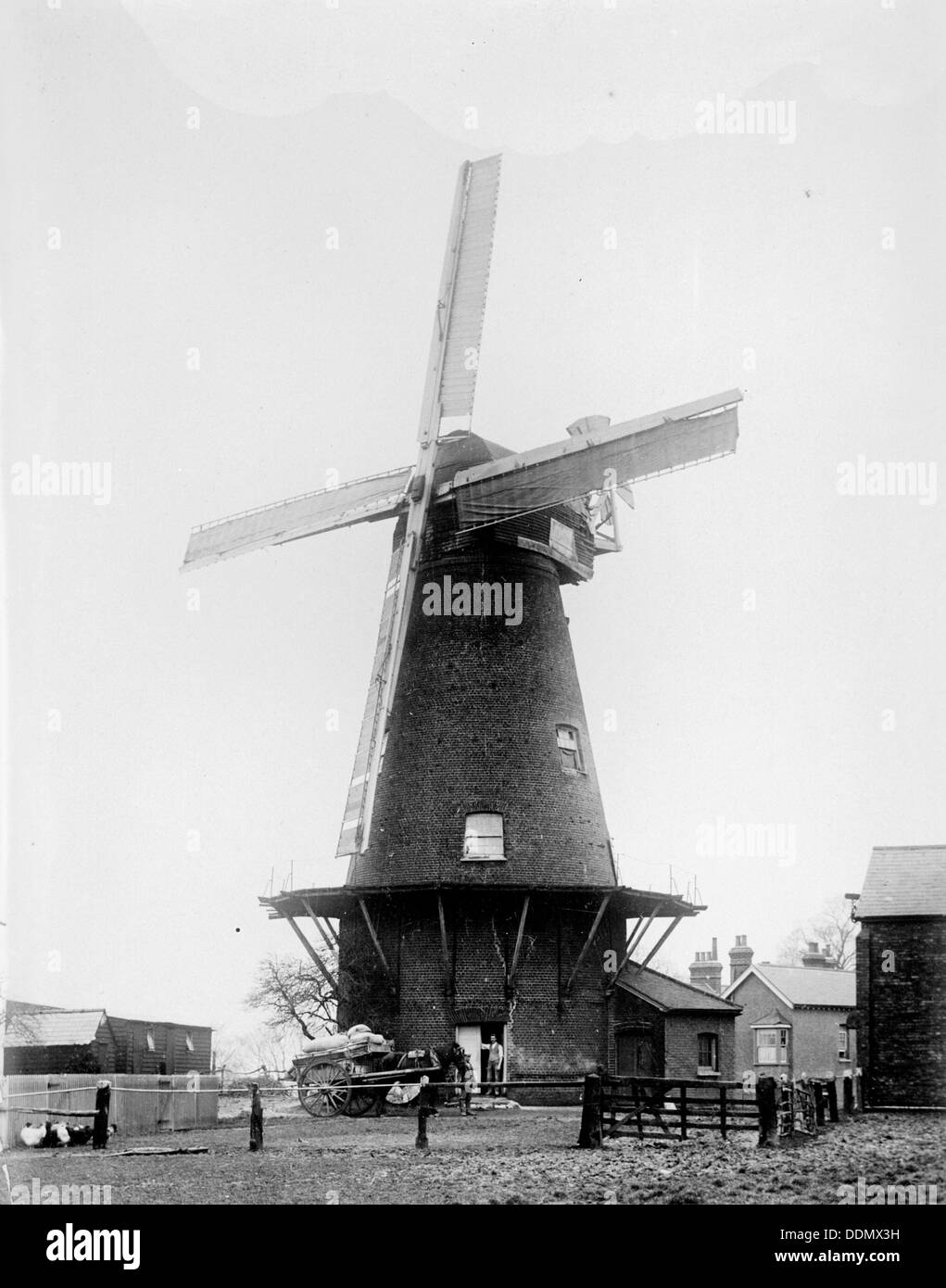 Rayleigh windmill, Essex, 1907. Artist: HES Simmons Stock Photo - Alamy
