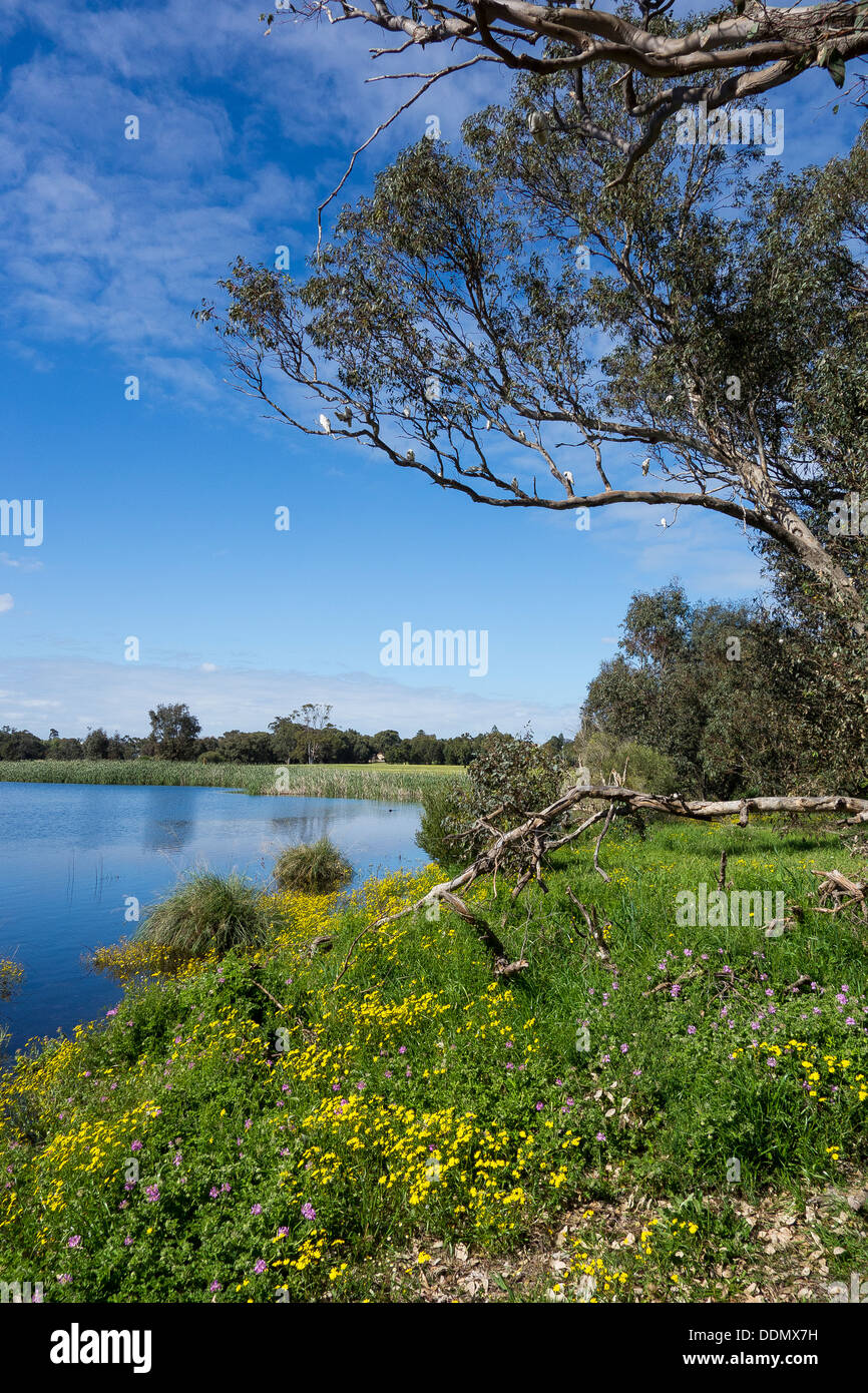 Australian spring water hi-res stock photography and images - Alamy