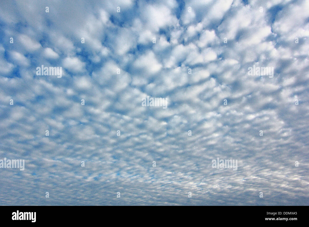 Blue sky with scattered cloud hi-res stock photography and images - Alamy