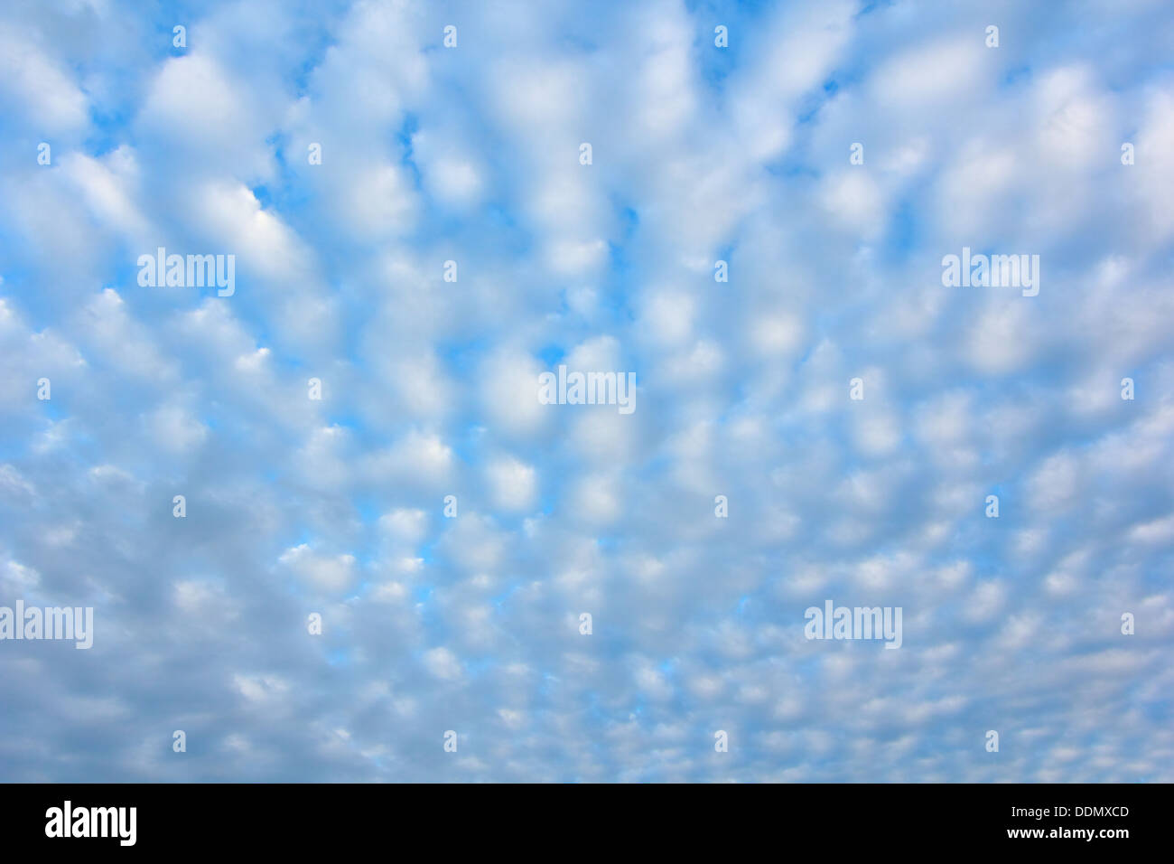 Blue sky with scattered cloud hi-res stock photography and images - Alamy