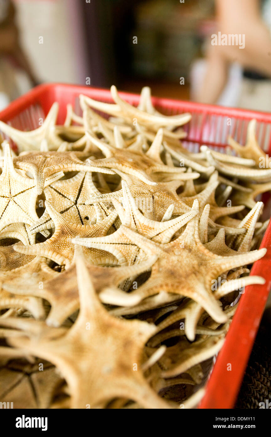 A basket of prepared dried starfish Stock Photo - Alamy