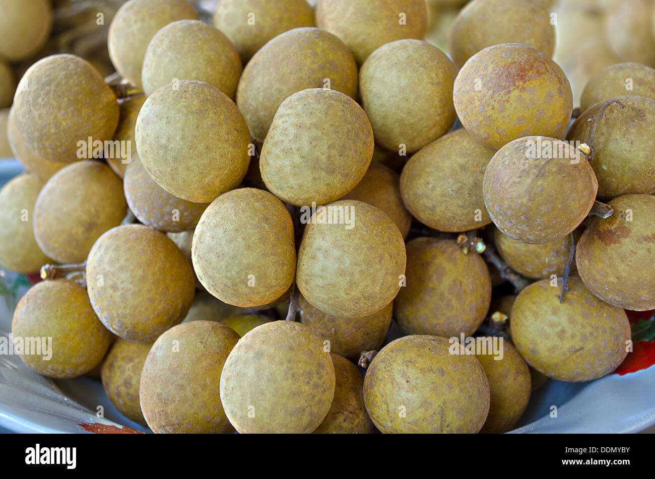 Dimocarpus longan hi-res stock photography and images - Alamy