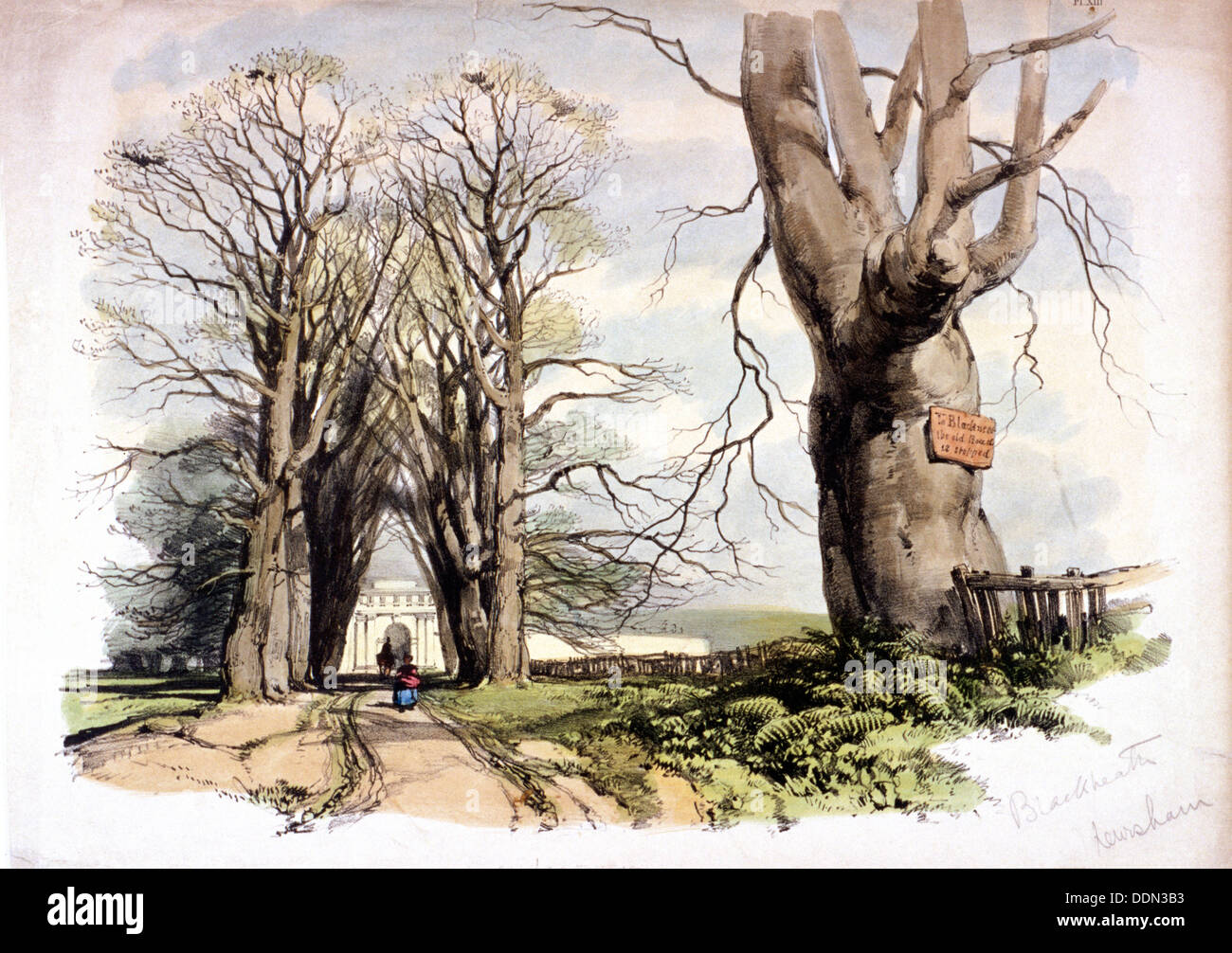 Blackheath library hi-res stock photography and images - Alamy
