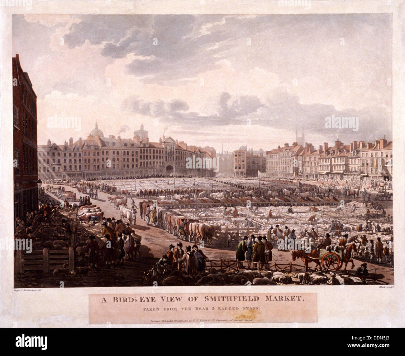 Smithfield cattle market 19th century hi-res stock photography and ...