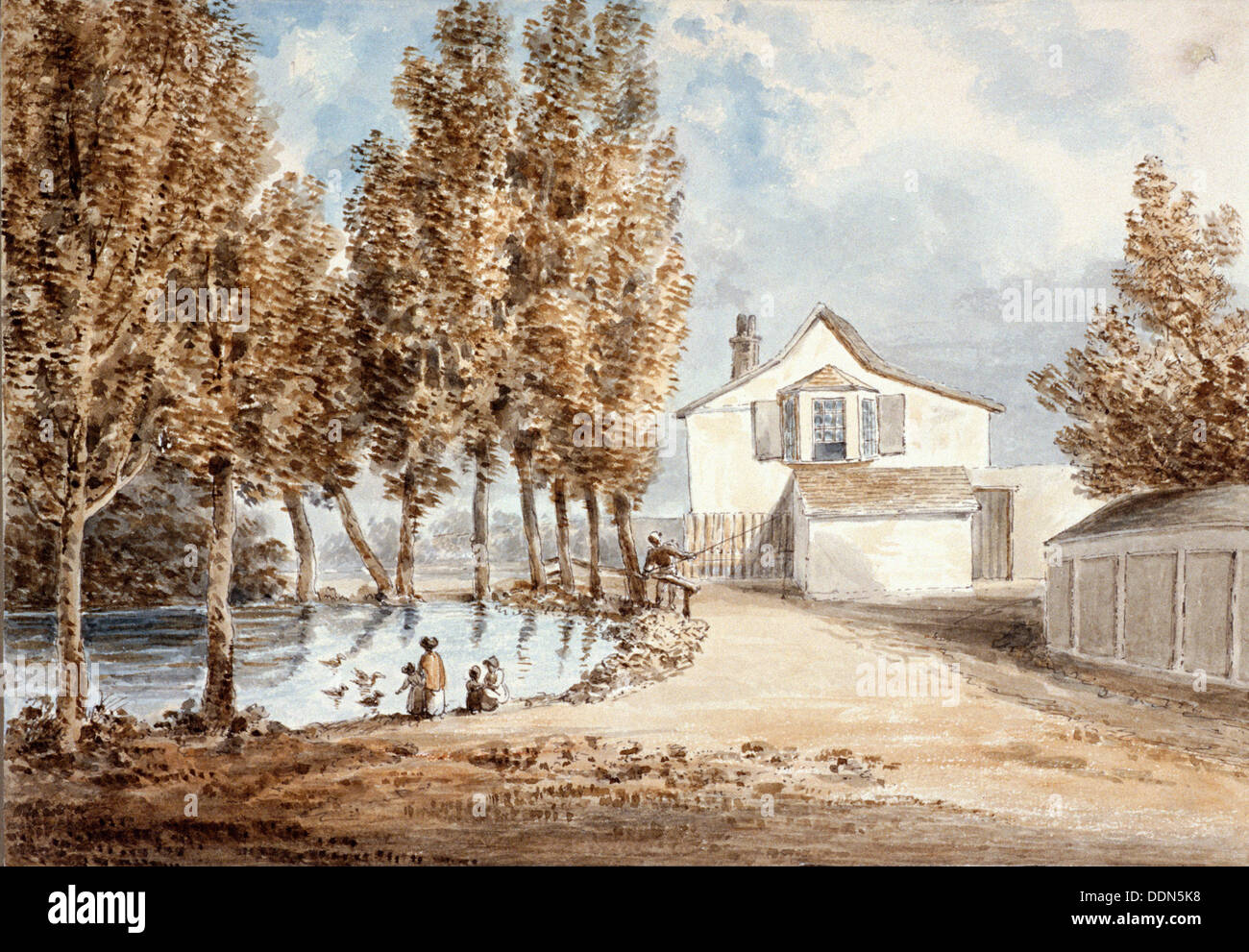 Duck house by pond hi-res stock photography and images - Alamy