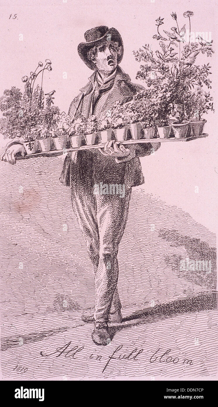 'All in full bloom', Cries of London, 1819. Artist: John Thomas Smith ...