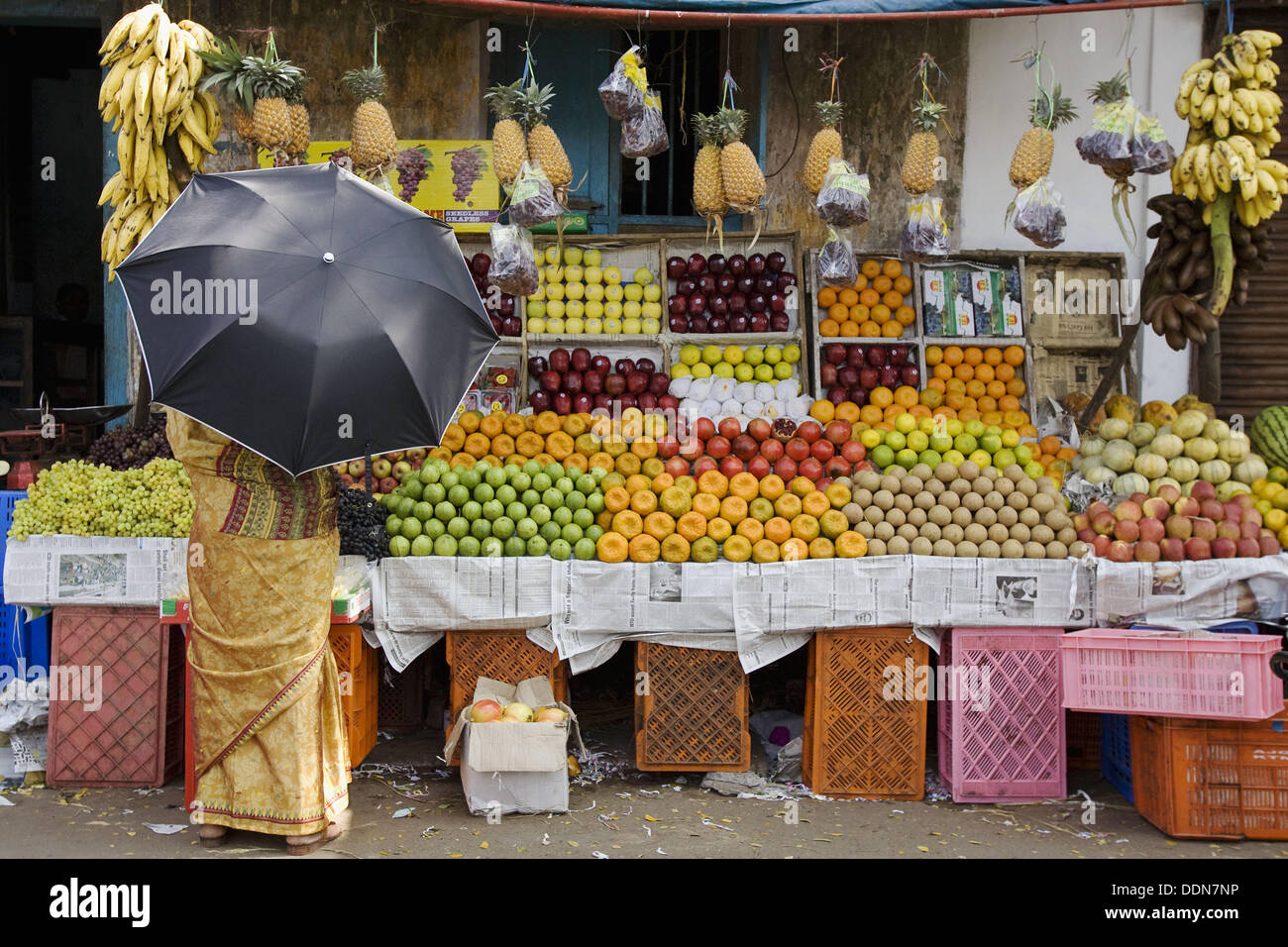 Cochin, Kerala, India Stock Photo - Alamy