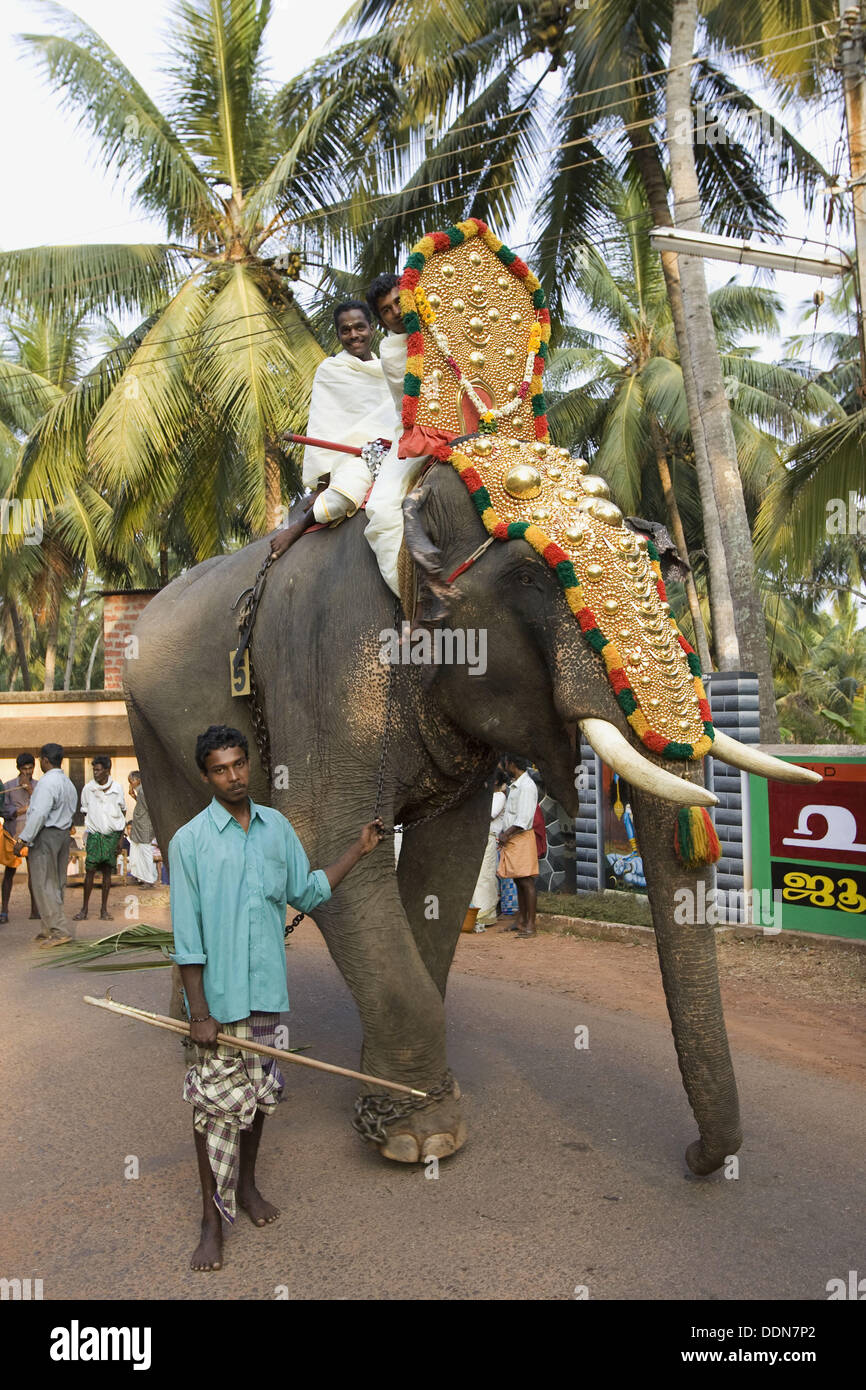 Kerala elephant ride hi-res stock photography and images - Alamy