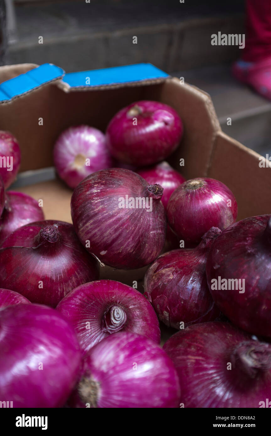 Purple / Red onions, in a carton at a market stall in Spain Stock Photo ...
