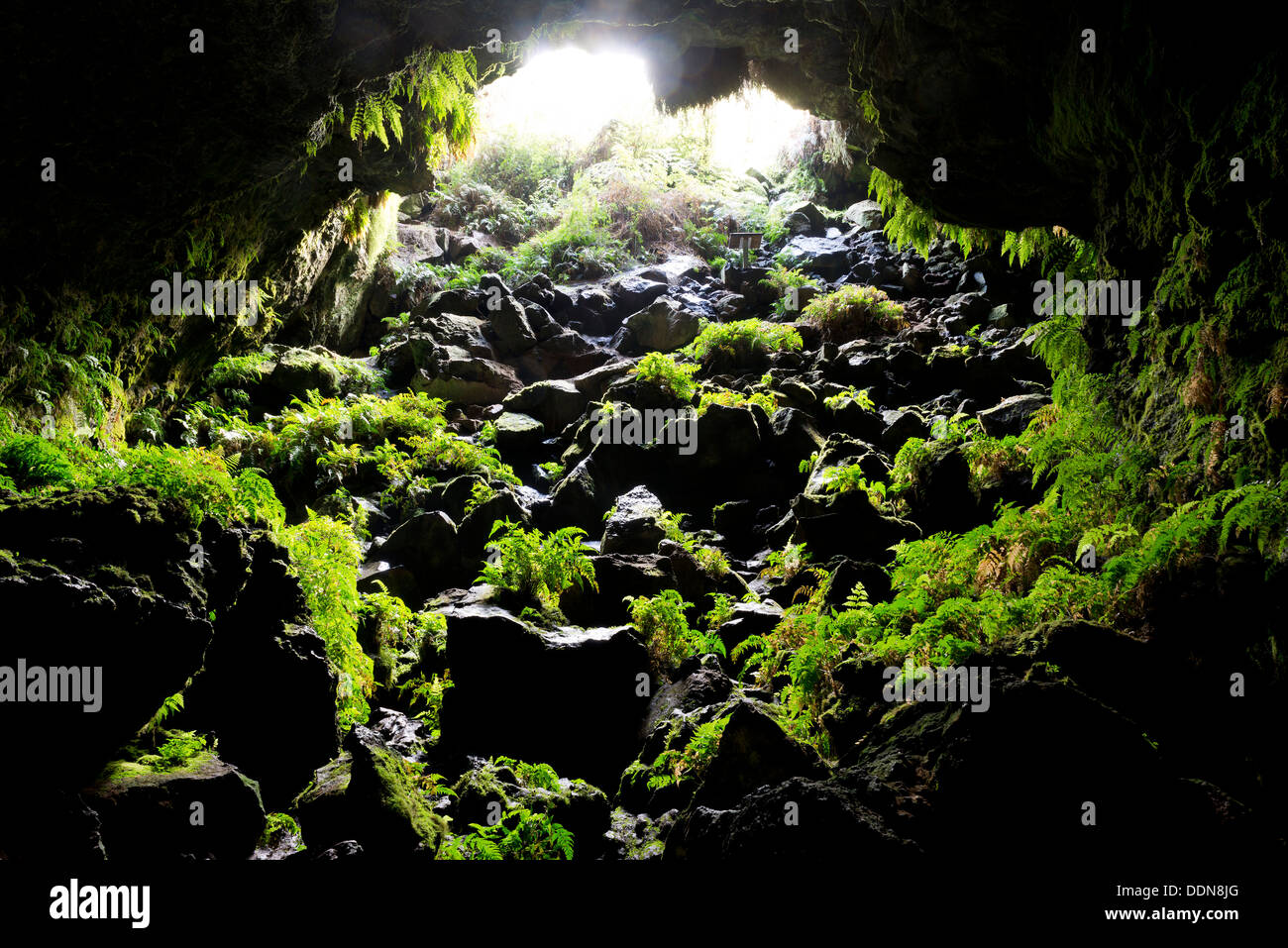 Cave opening hi-res stock photography and images - Alamy