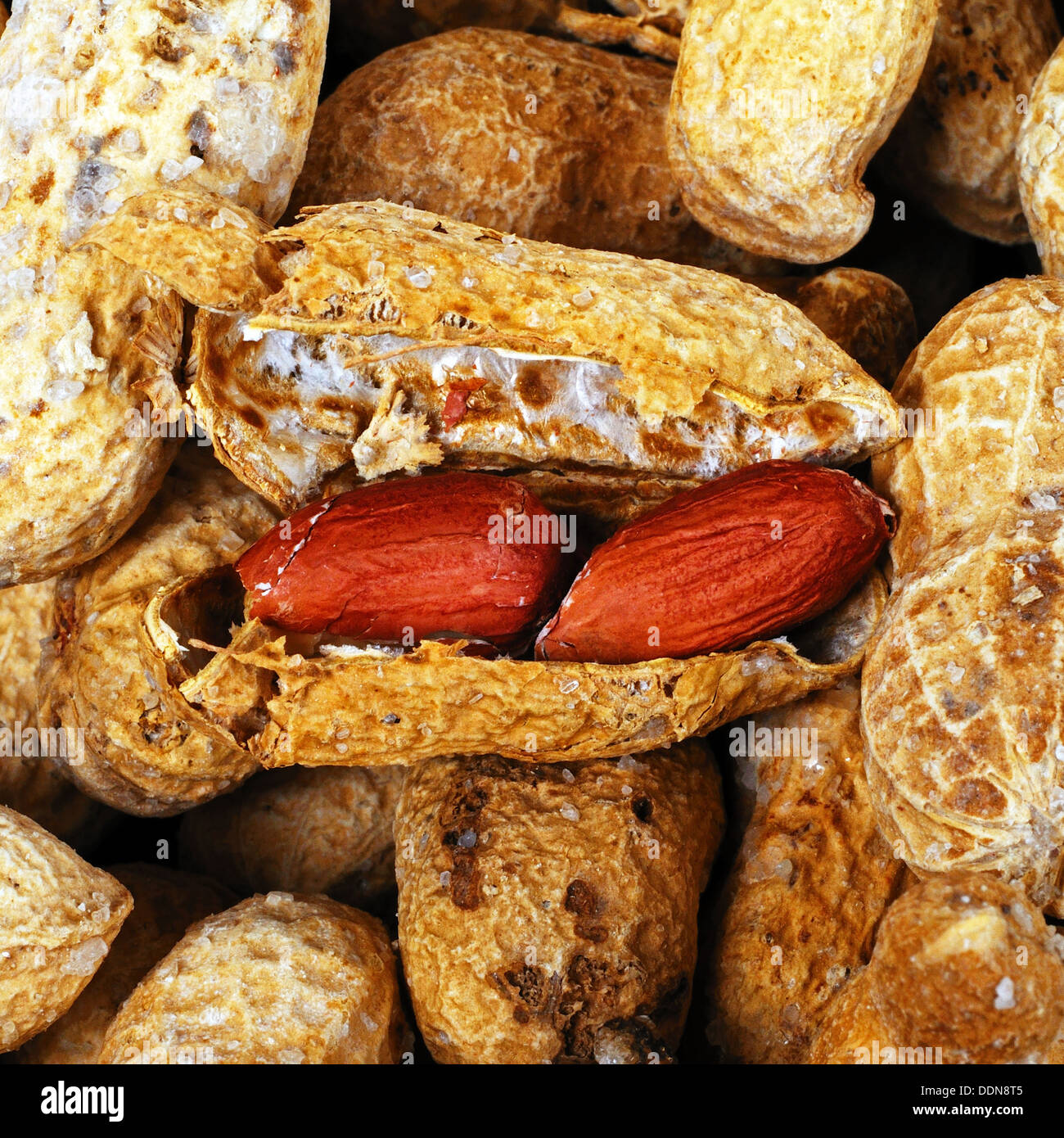 Monkey nuts in their shells Stock Photo - Alamy