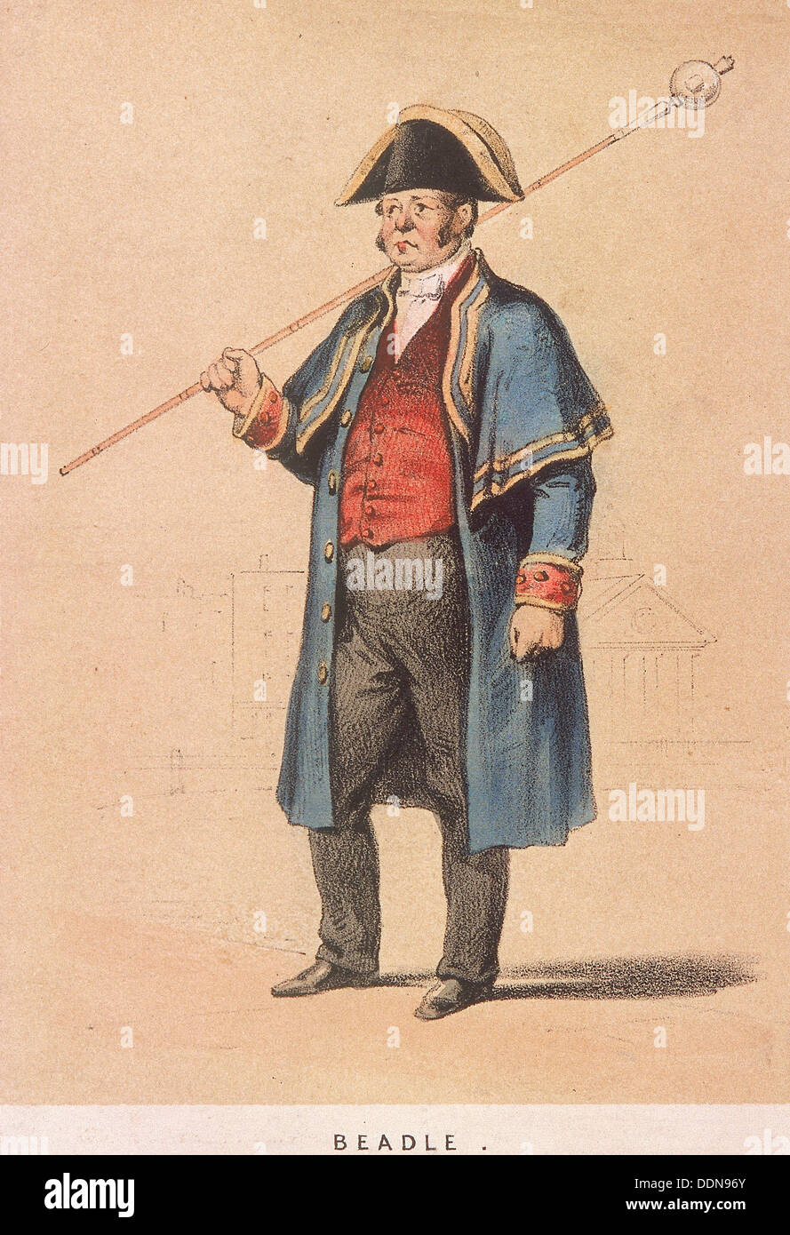 Beadle hi-res stock photography and images - Alamy