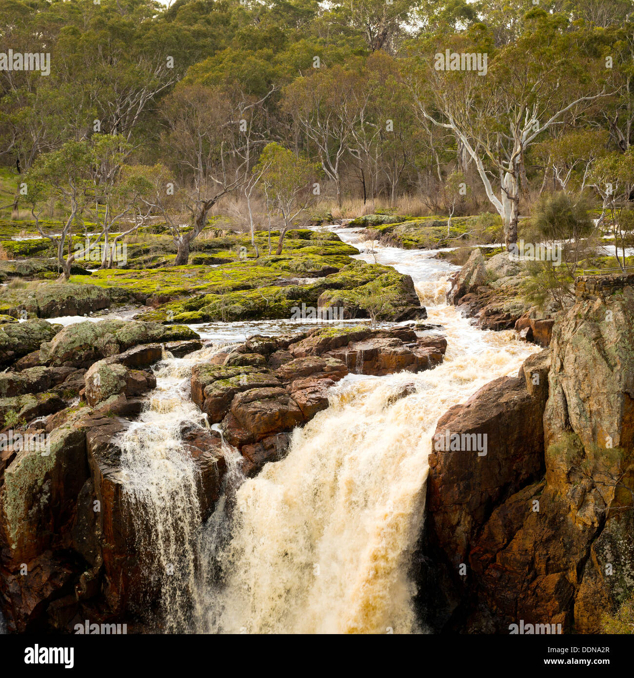 Western victoria australia hi-res stock photography and images - Alamy