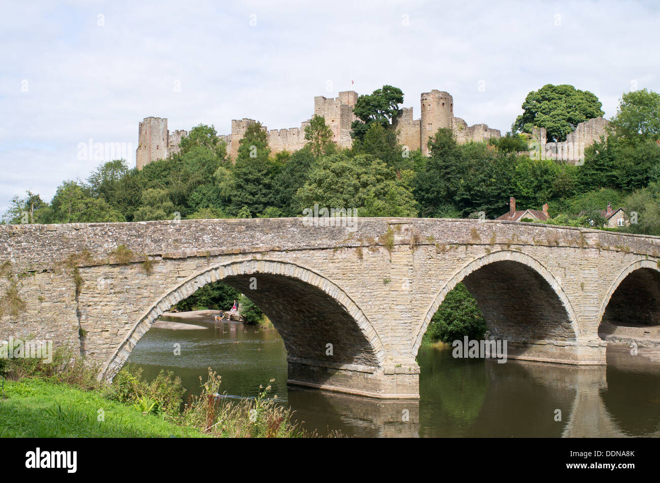 View showing Ludlow castle with Dinham bridge over the river Teme ...