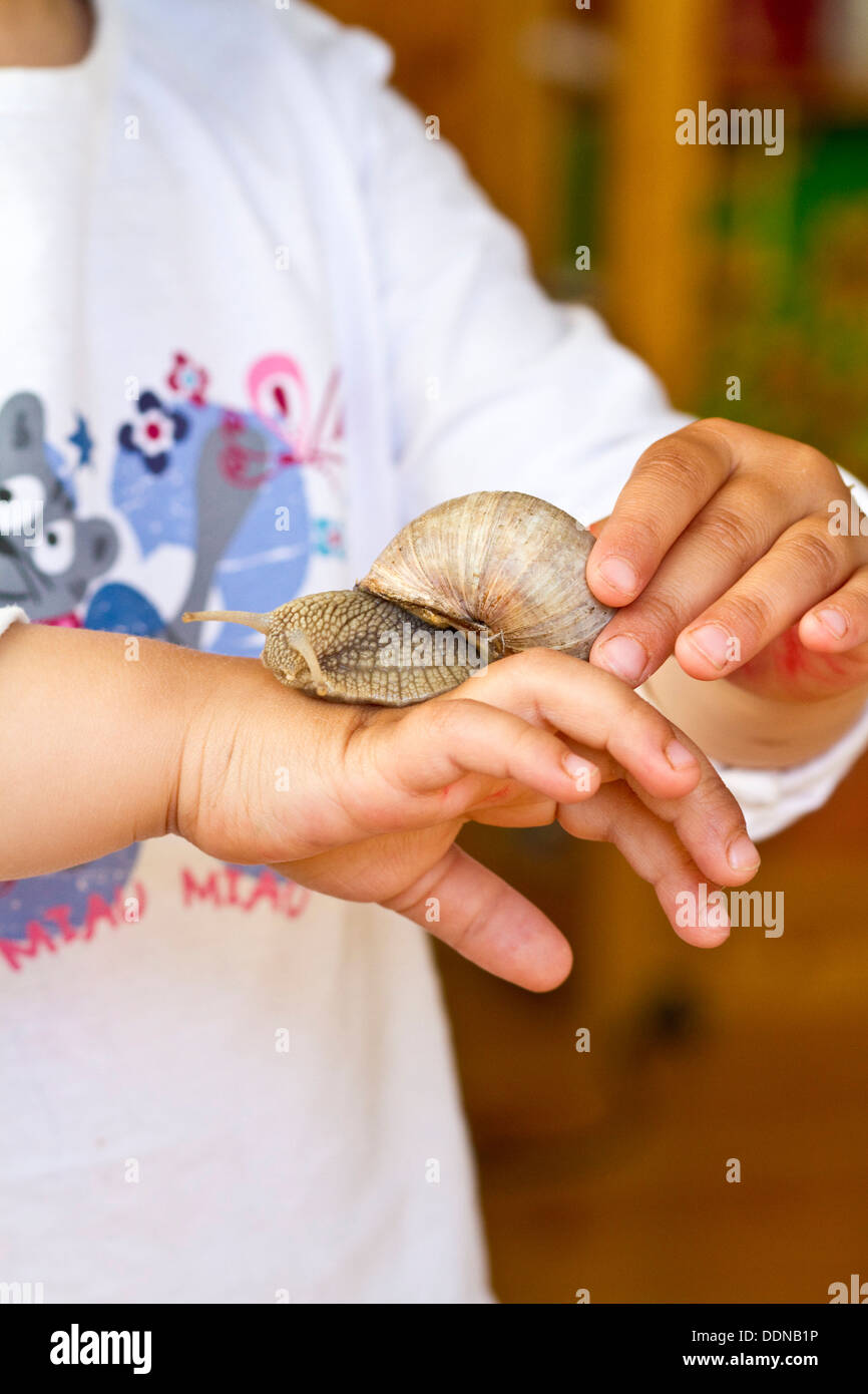 Hand of a child with burgundy snail Stock Photo - Alamy