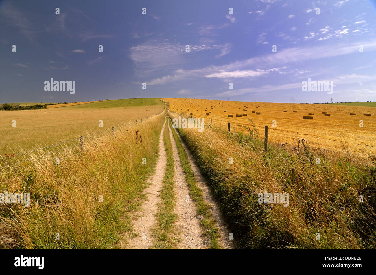 Footpath between two farm fields, south downs Stock Photo - Alamy