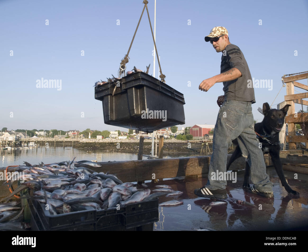 Commercial aquaculture hi-res stock photography and images - Alamy