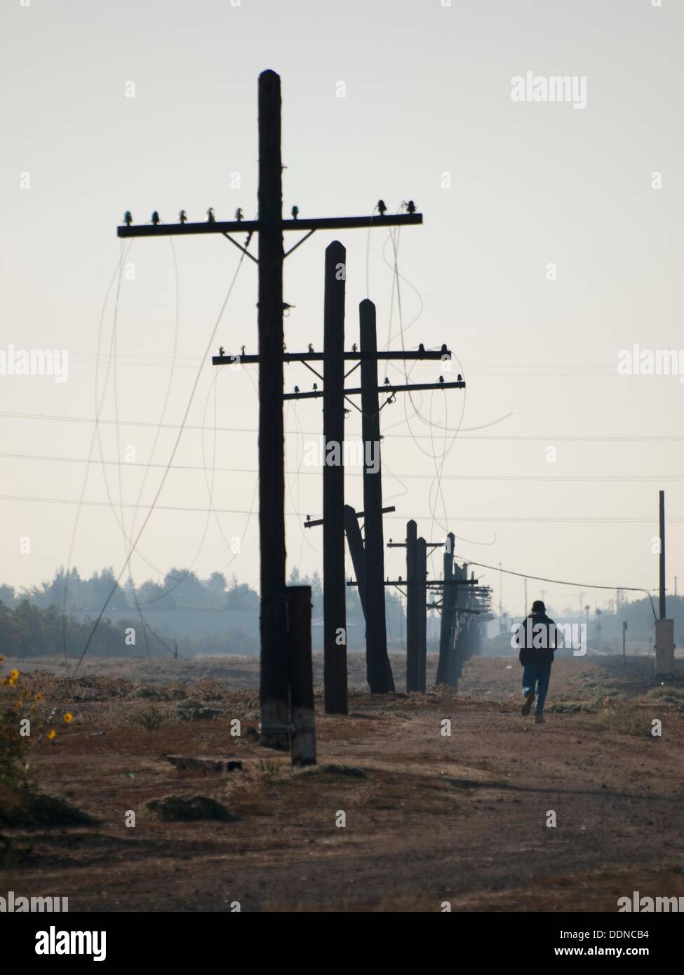 Abandoned and collapsing telephone poles/wires in Fresno, California ...