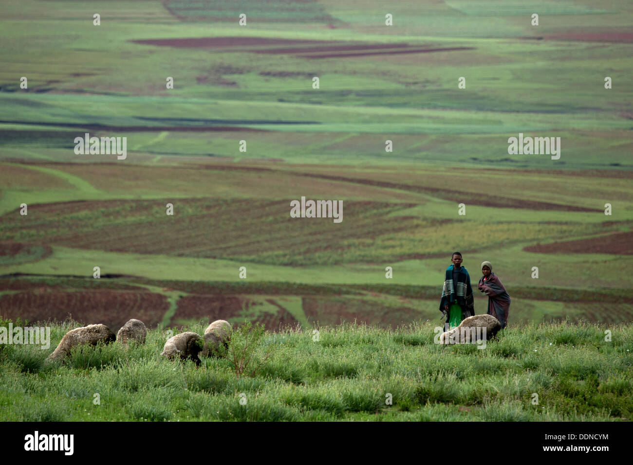 Two young shepherds in Lesotho Stock Photo - Alamy