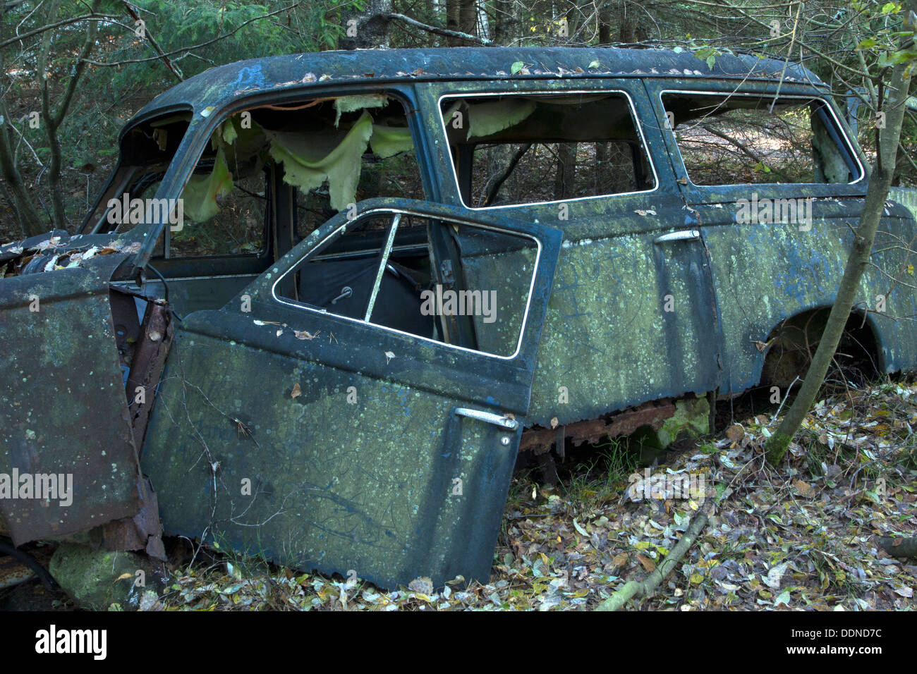 A disintegrating old car in a car graveyard in a bog Stock Photo - Alamy