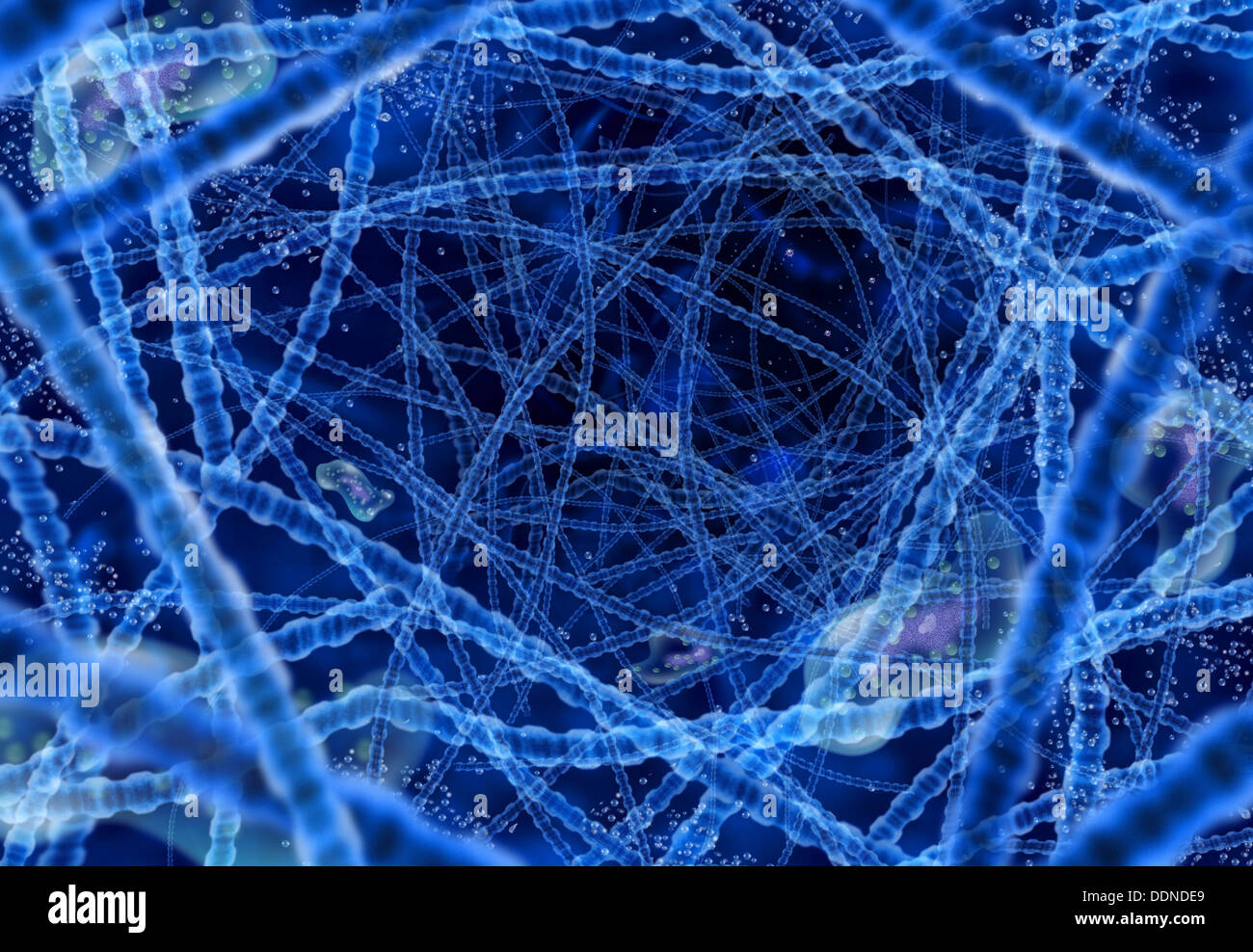 Computer illustration and micrograph hi-res stock photography and ...