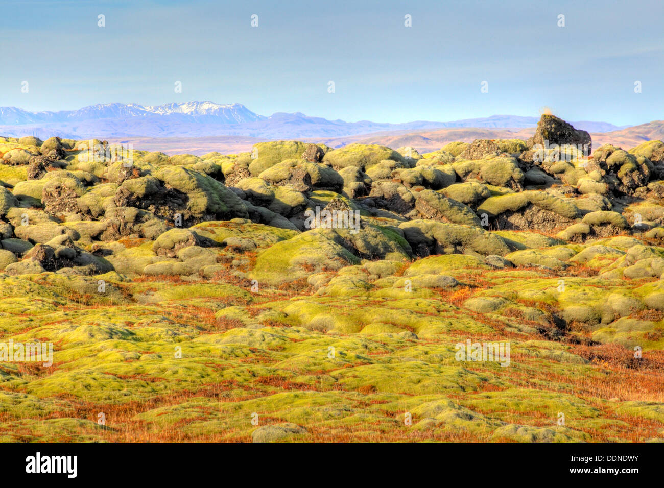Lava landscape, Kirkjubæjarklaustur, Iceland, Europe Stock Photo - Alamy