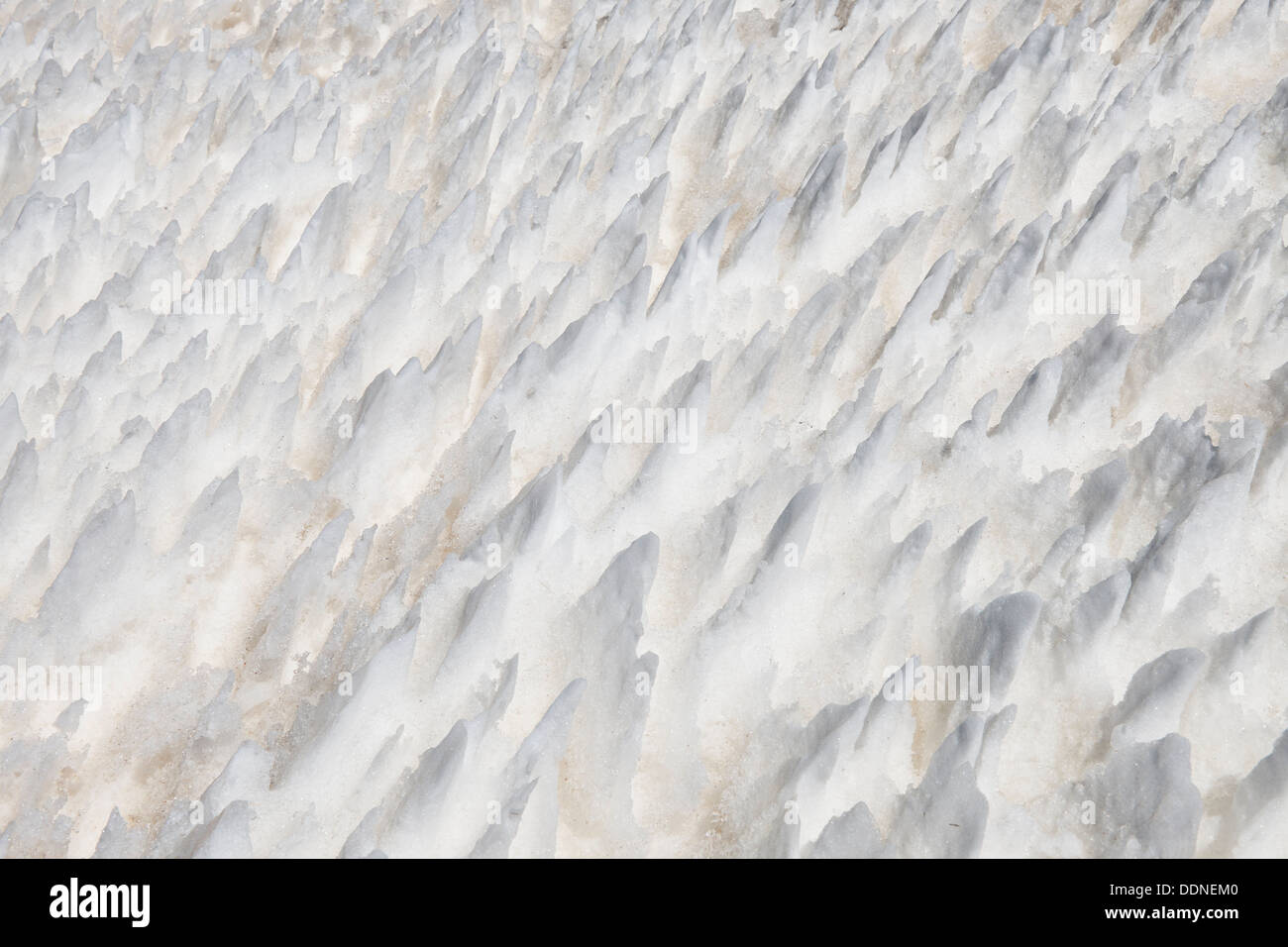 Ice and snow structures, Reserva Nacional de Fauna Andina Eduardo ...