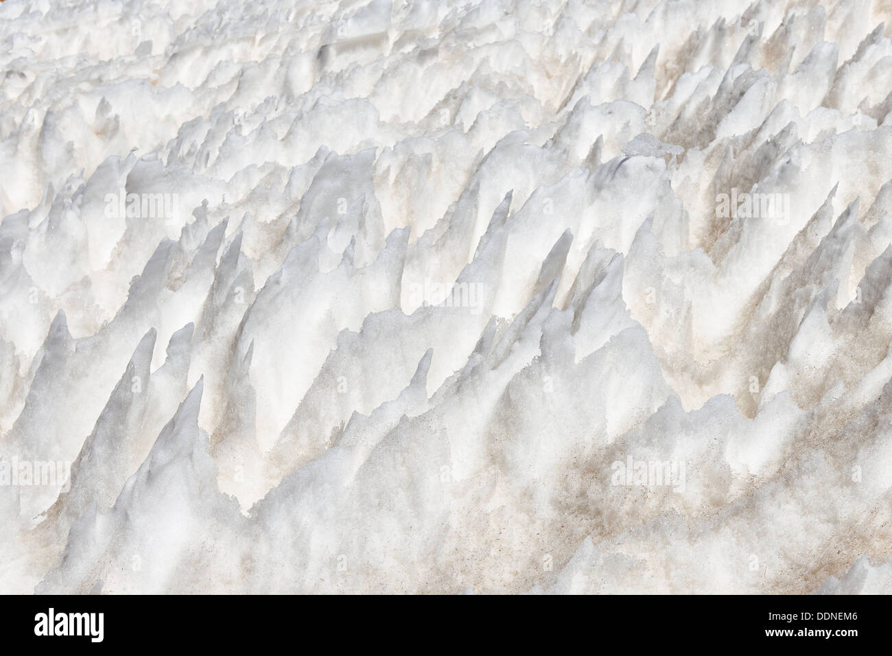 Ice and snow structures, Reserva Nacional de Fauna Andina Eduardo ...