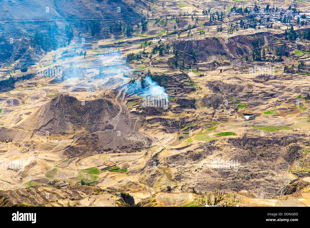 Colca Canyon Peru South America. The Incas to build Farming terraces ...