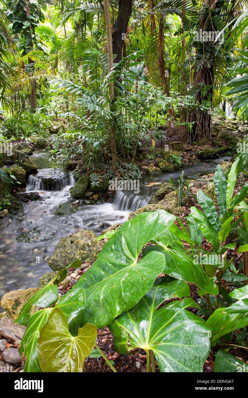 Miami tropical hi-res stock photography and images - Alamy