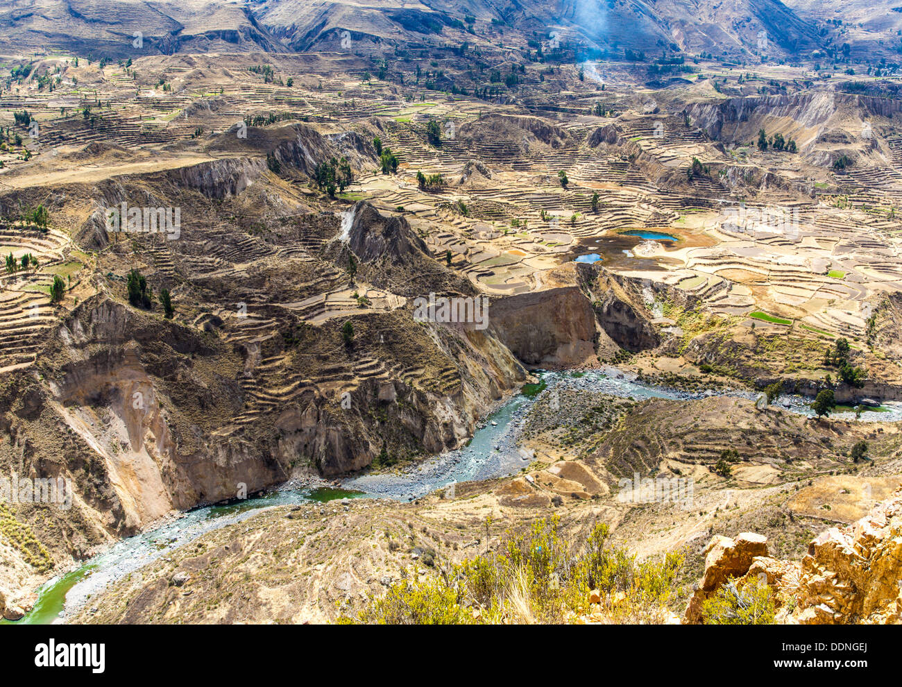 Colca Canyon Peru South America. The Incas to build Farming terraces ...