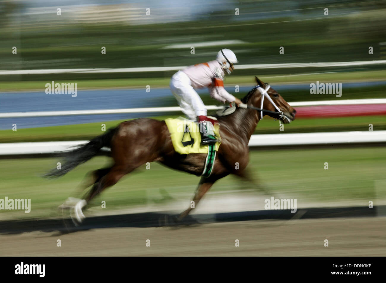 Gulfstream park racecourse hi-res stock photography and images - Alamy