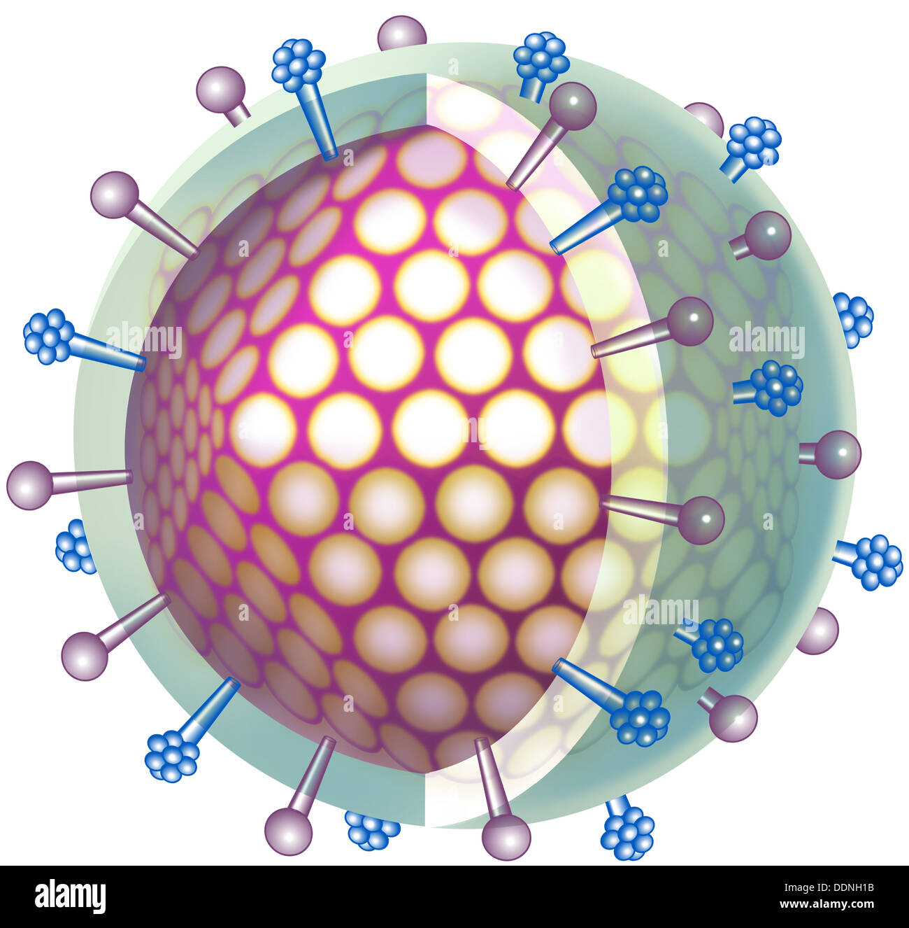 Virus shapes Cut Out Stock Images & Pictures - Alamy