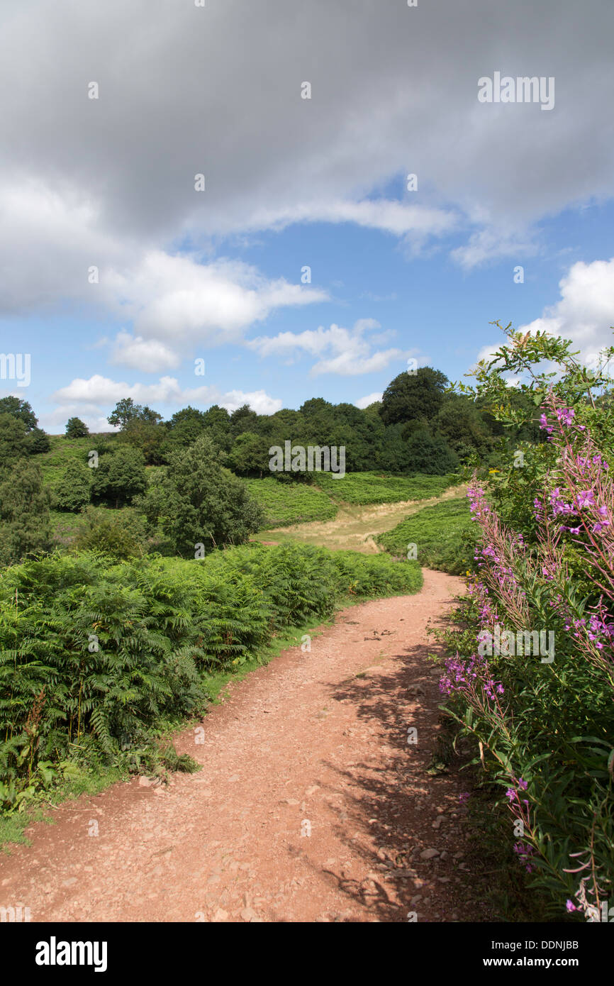 The National Trust's Clent Hills near Hagley, Worcestershire, England ...