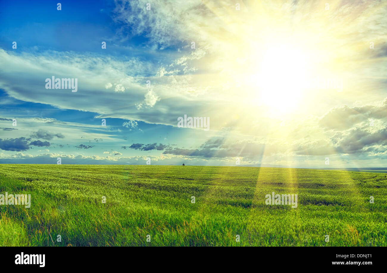 Beautiful landscape wheat field hi-res stock photography and images - Alamy