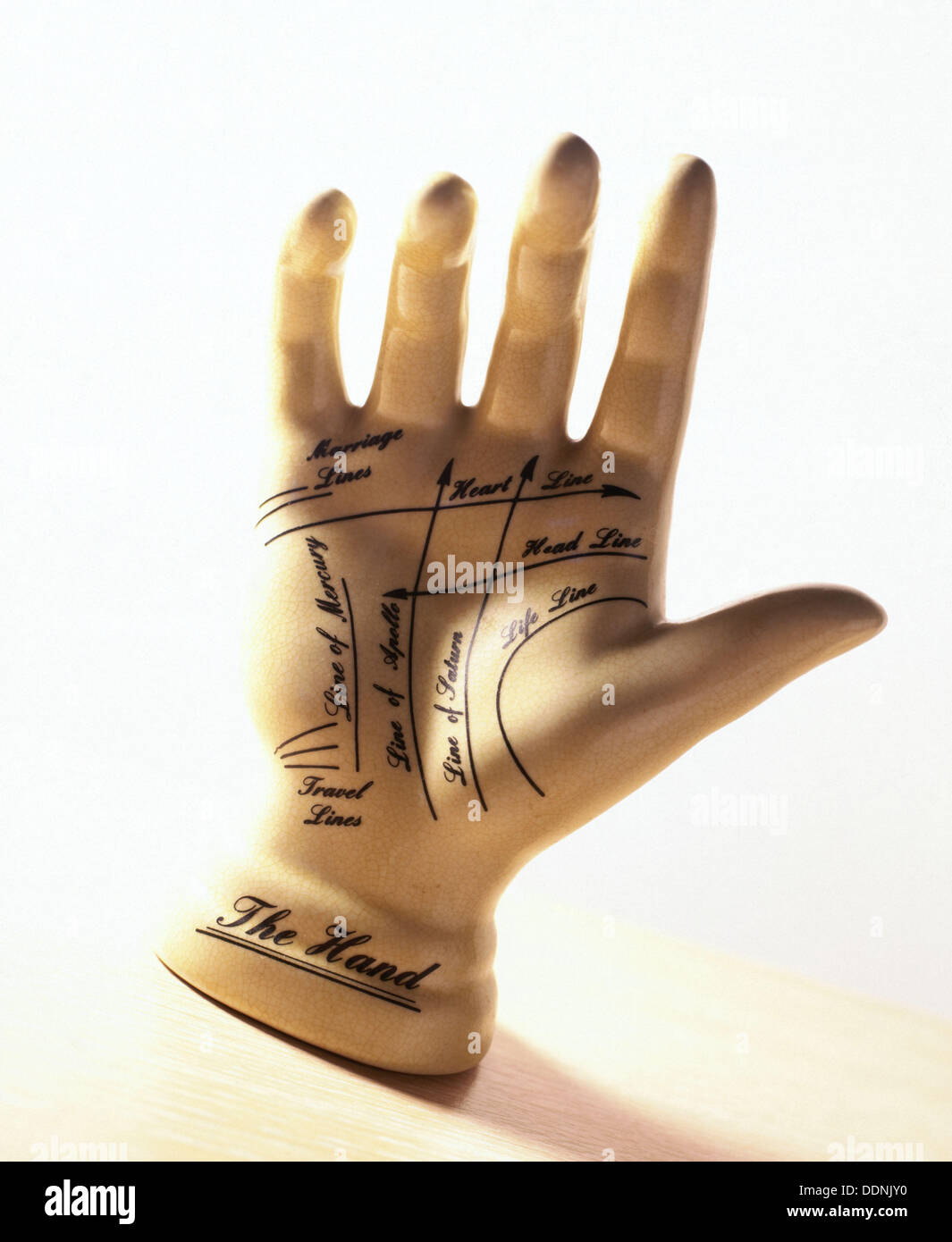 Palmistry hand hi-res stock photography and images - Alamy