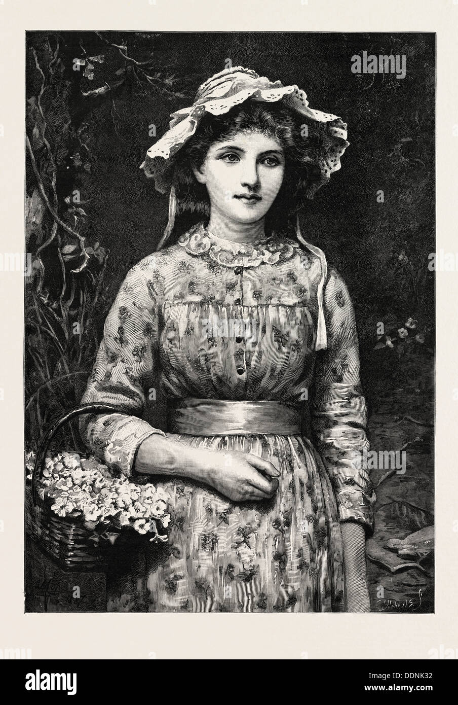 1888 engraving hi-res stock photography and images - Alamy