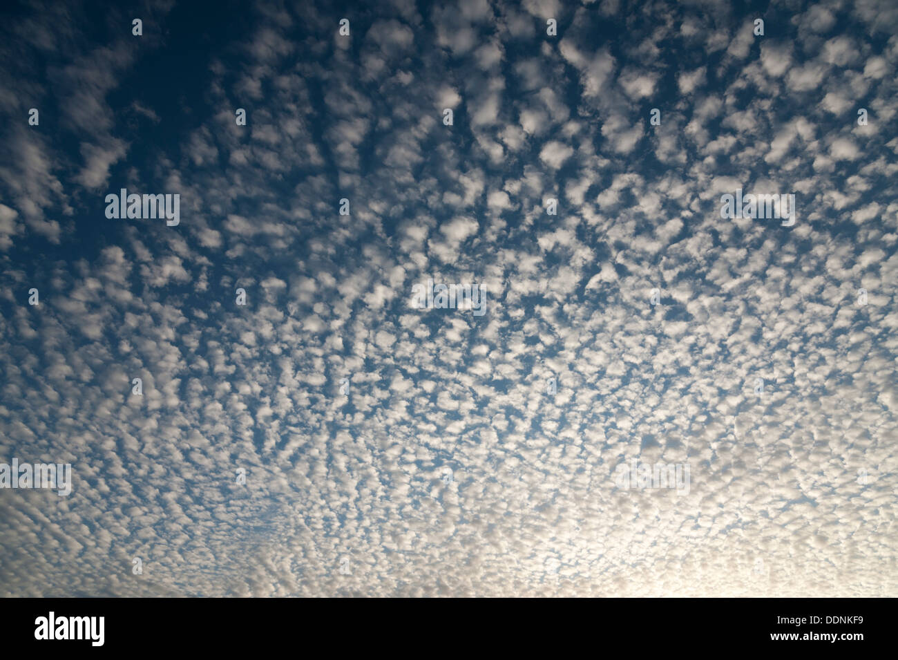 Altocumulus Clouds For Kids
